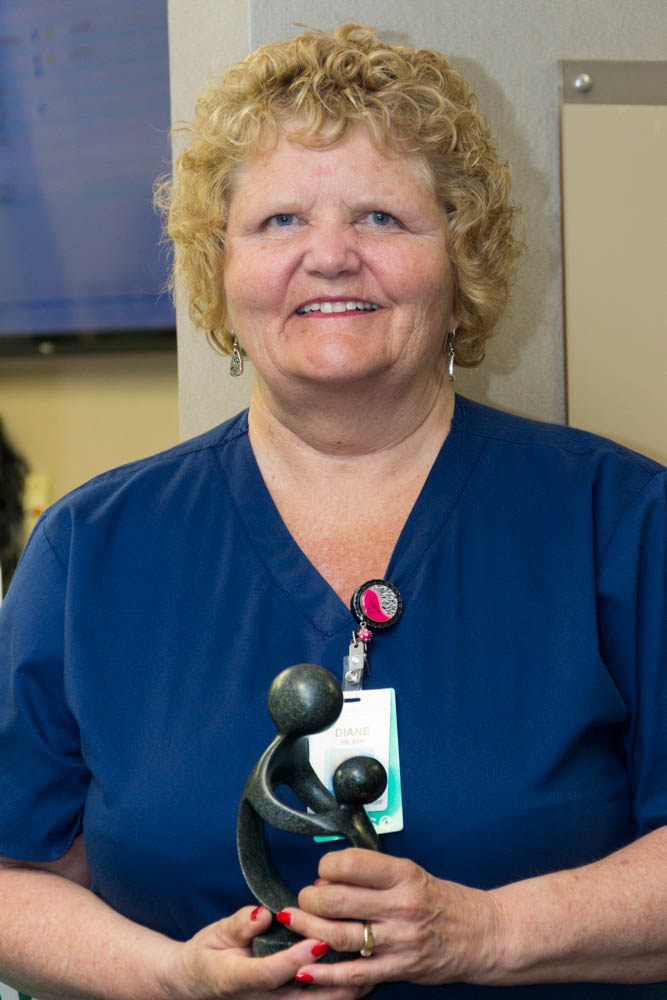 diane niezwagg | DAISY Foundation